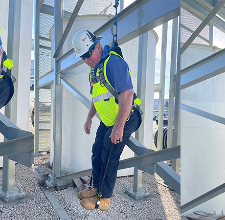 Ladder Safety Systems: OSHA Standards for Fixed Ladders Above 24 Feet ...